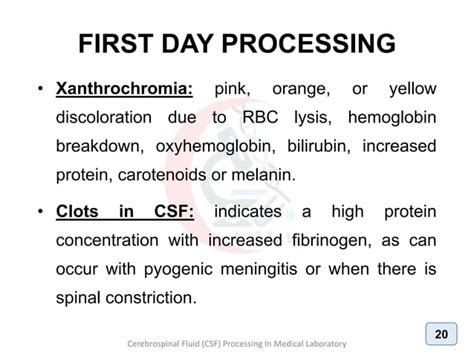 Csf Microbiological Examination I Pdf