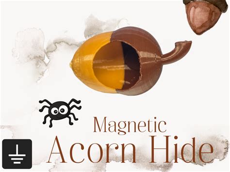 Acorn Spider Hide With Magnet Slot Remixed By Shayla Anthony Makerworld