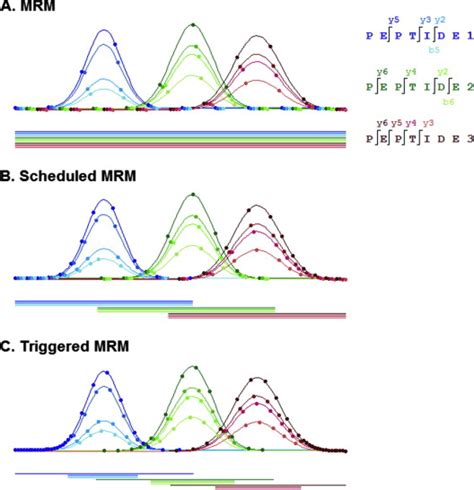 Acquisition Methods Utilized To Collect MRM Transitions For A Twelve