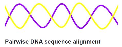 GitHub vanleiko alignment web app Web App para alinhamento de sequências de DNA