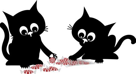 Katt Kattunge Svarta Katter Gratis Vektorgrafik På Pixabay