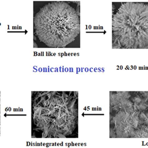 Schematics Representing Variation In The Nanostructure Morphology Of Download Scientific