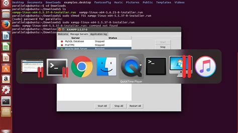 Instalando Xampp En Ubuntu Server Desde Terminal Youtube