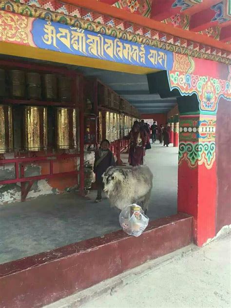 从地狱到天堂——仰望色达 色达县游记攻略【同程旅游攻略】 从地狱到天堂——仰望色达 色达县游记攻略【同程旅游攻略】