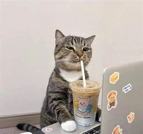 Spring 스프링 Db 접근 기술 Jpa