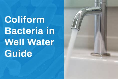 Coliform Bacteria In Well Water Guide