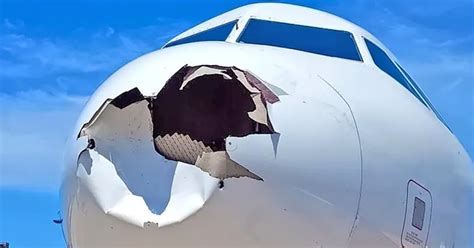 또 조류 충돌 아찔로봇 매까지 날려봤지만 소용없었다