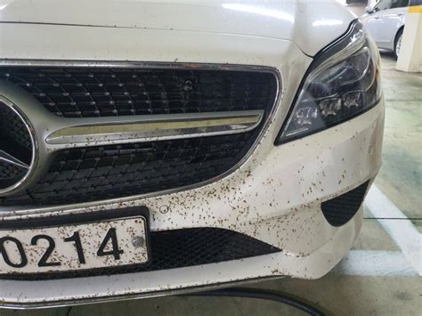 박선생 스팀세차 목포 남악출장세차 어디든 찾아가 스팀세차 해드립니다 단골이될거라 확신합니다 벤츠cls클래스 스팀