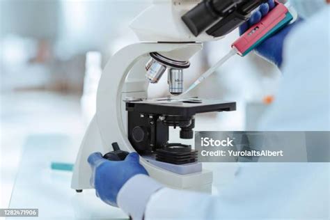 클로즈업합니다 실험실에서 샘플을 테스트하는 과학자 미생물학자 Stem 주제에 대한 스톡 사진 및 기타 이미지 Stem 주제 건강관리와 의술 건강한 생활방식 Istock