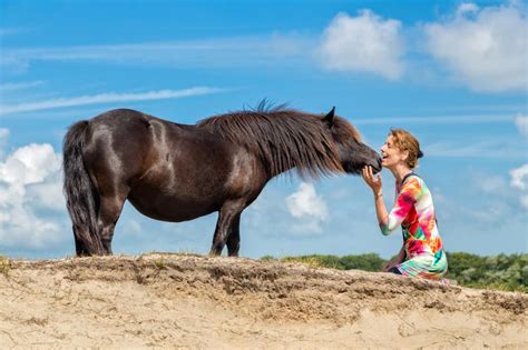 How To Gain The Trust Of Your Horse Lv Performance