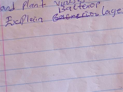 Bacterior Layers Explained Studyx