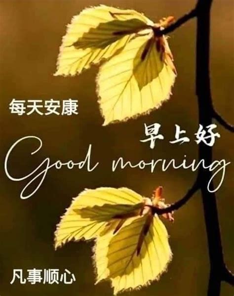 Pin Af Xuanli På 🎏《快乐截福盗》🎋 Pin Af Xuanli På 🎏《快乐截福盗》🎋