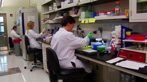 Bridging The Gap Exploring Gender Differences And Fostering Understanding Between Men And Women