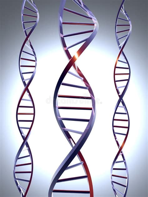 Dna String Close Up Stock Illustration Illustration Of Glass 71944