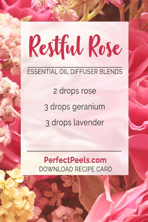Restful Rose Blend Essential Oil Perfumes Recipes Essential Oil