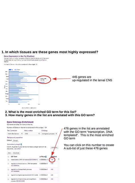 exercise4 list analysis pages — intermine user 1 0 documentation