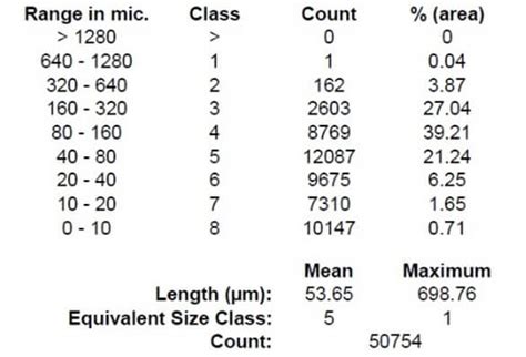 Flake Size As Per Astm A247 And Iso 945 Clemex