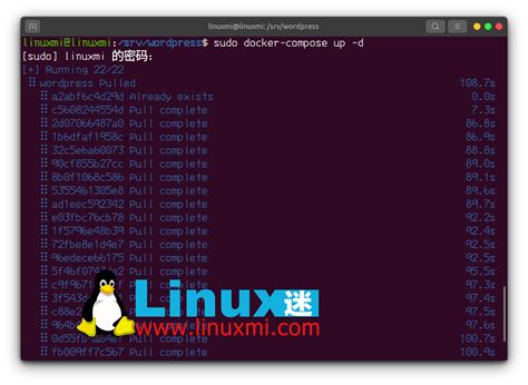 使用 Docker 安装 Wordpress 图文指南 Linux迷