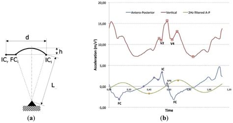 Pedestrian Navigation Based On A Waist Worn Inertial Sensor
