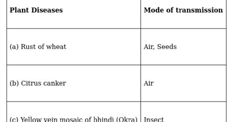 SUBHANKAR S SCIENCE AND ENGINEERING BLOG Lecture CLASS VIII SCIENCE Chapter