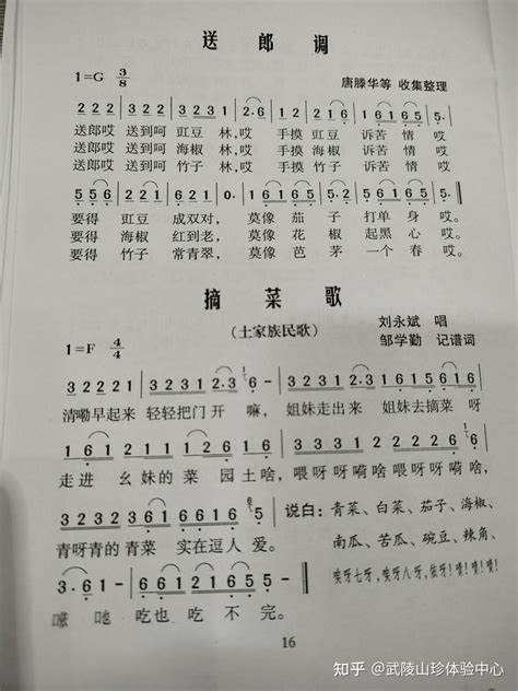武陵山珍土家文化的传承 知乎
