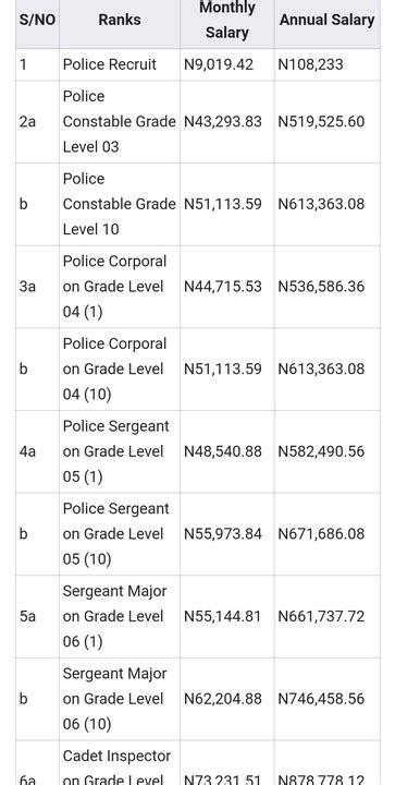 See The New Nigeria Police Salary Structure Politics Nigeria