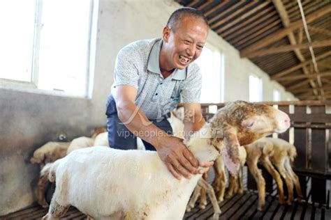 浙江湖州免费授技 精准扶贫 人民图片网