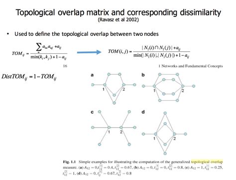 What Do Adjacency Matrix And Topology Overlap Matrix From Wgcna Package Tell About The Data
