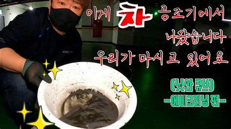 닛산 큐브 에바크리닝 편 Youtube