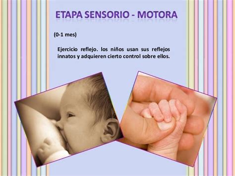 Ejemplos De Etapa Sensoriomotora Slingo