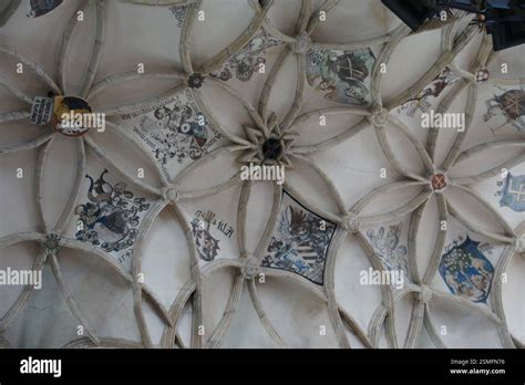Gothic Ceiling Czech Republic Ornate Ribbed Vaulting With Intricate