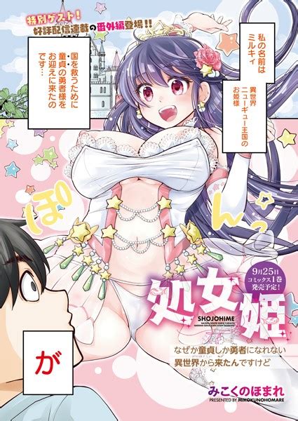 処女姫なぜか童貞しか勇者になれない異世界から来たんですけど番外編 みこくのほまれ FANZAブックス