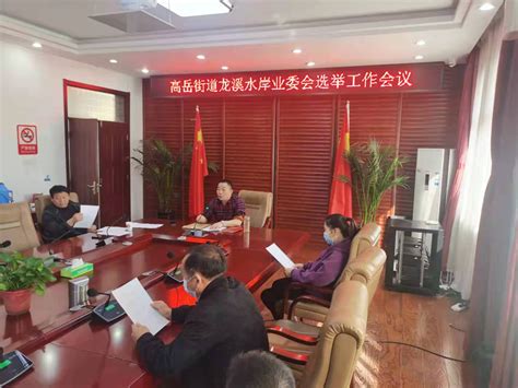 高岳街道召开龙溪水岸业委会选举工作会议杜集区人民政府