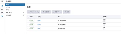 Rancher2 8 5 添加rke2或者 K3s 的k8s集群成功，但是页面打开 Error 500 Internal Server Error Invalid Upgrade