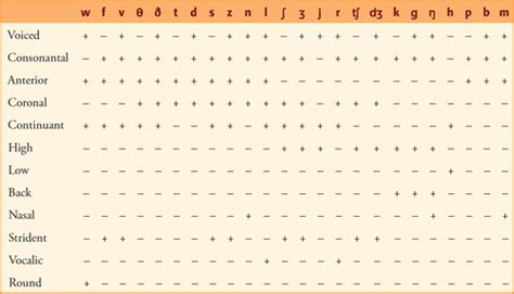 Unit 2 Exam Flashcards Quizlet