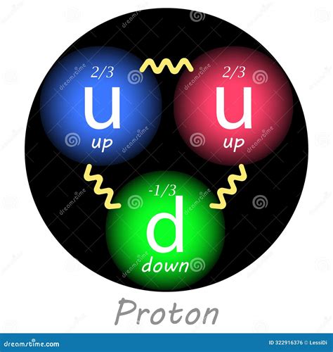 Proton With Two Up Quarks One Down Quark Their Charges And The Forces Between Them Stock