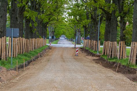 나무 줄기 보호 인근 건설 현장에서 손상으로부터 보호하기 위해 보드로 덮인 나무 줄기 도시의 길가에있는 나무 0명에 대한 스톡 사진 및 기타 이미지 Istock