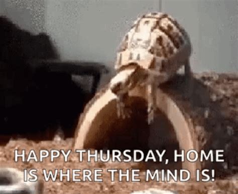 Happy Thursday Funny S