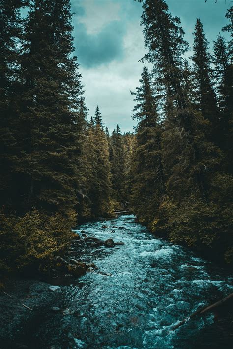 Nature Ipad Wallpaper