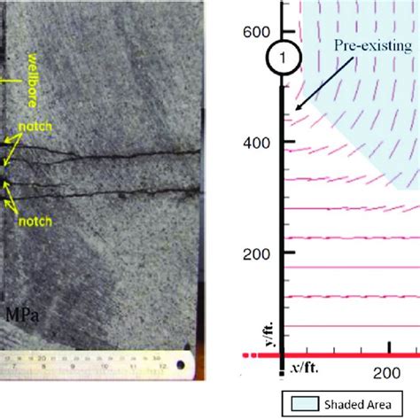 Stress Shadowing Effect A Hf Trajectories Demonstrate That The Download Scientific Diagram