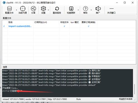 Bug 最新版meta内核无法正常启动vless代理的配置文件 · Issue 2509 · Vernesongopenclash