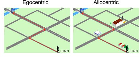 Figure 1 From Missing The Egocentric Spatial Reference A Blank On The Map Semantic Scholar