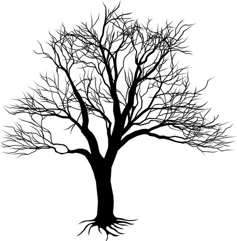 How To Draw A Leafless Tree Lu Moffitt