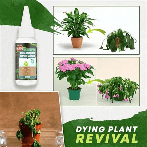 Plant Nutrient Solution Greeniopk Plant Nutrient Solution Greeniopk