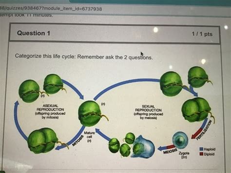 Bio Exam 2 Flashcards Quizlet