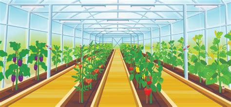 Protected Cultivation Saveer