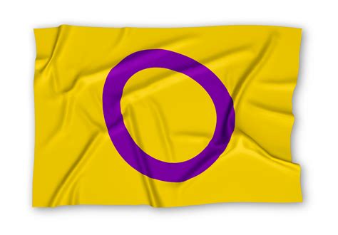 Realistic Intersexual Flag 9655823 Png