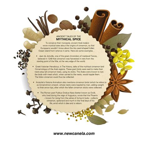 Weerasooriya International Group Pvt Ltd On Linkedin Cyelon