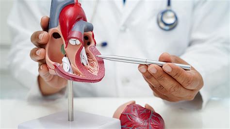 Atrial Fibrillation Early Restoration Of Normal Rhythm Is Crucial Say