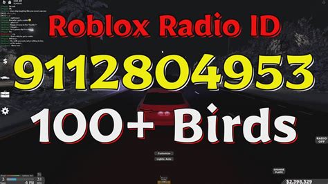 Birds Roblox Radio Codesids Youtube